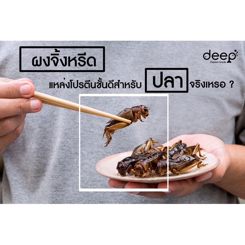 DEEP INSECT INSIDE อาหารปลาทอง สูตรผสมโปรตีนจากแมลง โปรตีนสูง เร่งโต ...