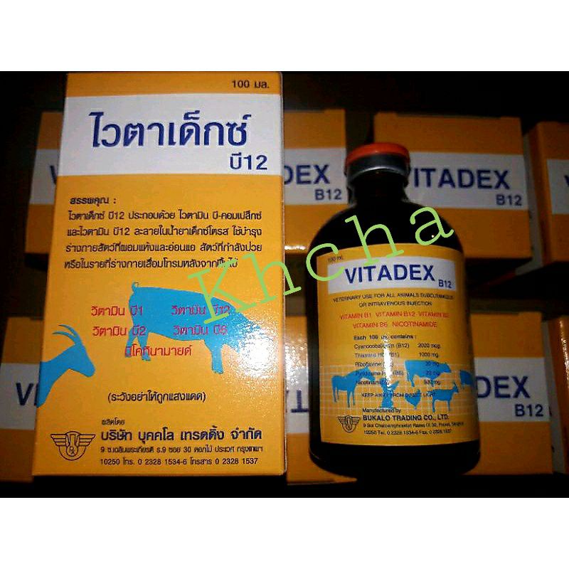 ไวตาเด็กซ์ บี12 VITADEX B12 100ml. - big_banksg - ThaiPick