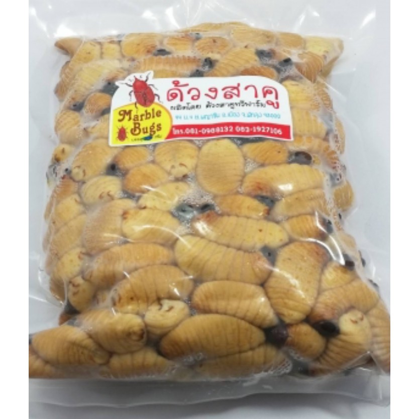 ด้วงสาคู ด้วงมะพร้าว แช่แข็ง ออร์แกนิก (ลวก-ฟรีซ) Sago Grub Freeze by ...