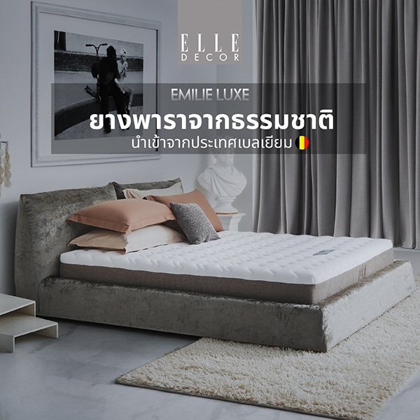 Elle Decor ที่นอนยางพาราแท้ 100 (สเปคแน่นสบาย) รุ่น Emilie Basic หนา 8 นิ้ว ฟรีของสมนาคุณตามขนาด ...