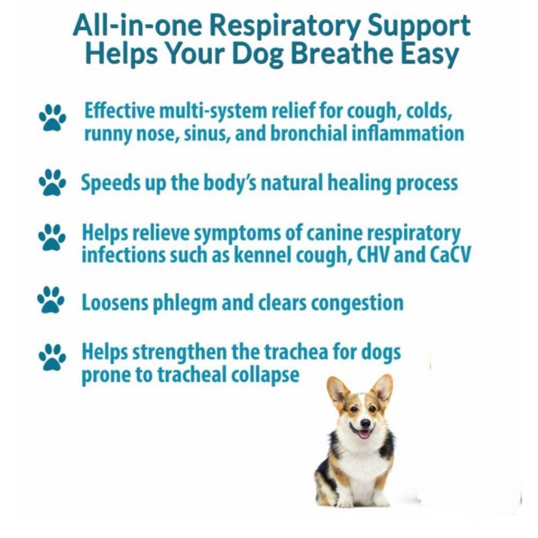 แบ่งขาย-สุนัข breath easy บรรเทาอาการหวัดสำหรับสุนัข สุนัขจาม สุนัขไอ ...