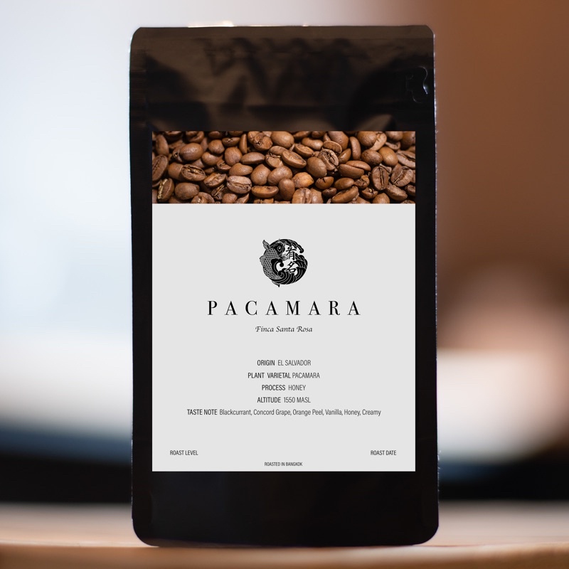 เมล็ดกาแฟคั่ว El Salvador Pacamara Finca Santa Rosa | Shopee Thailand