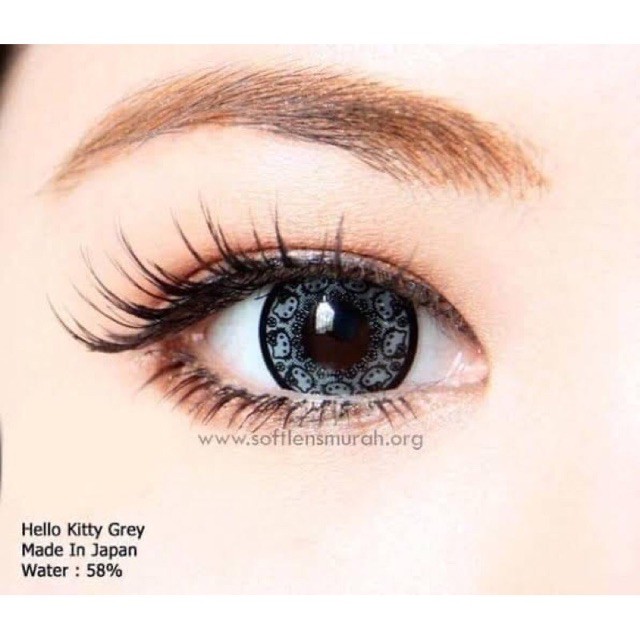 บิ๊กอาย ลายการ์ตูน ลายคิตตี้ สีเทา Hello Kitty Cat Gray Black Brown ...
