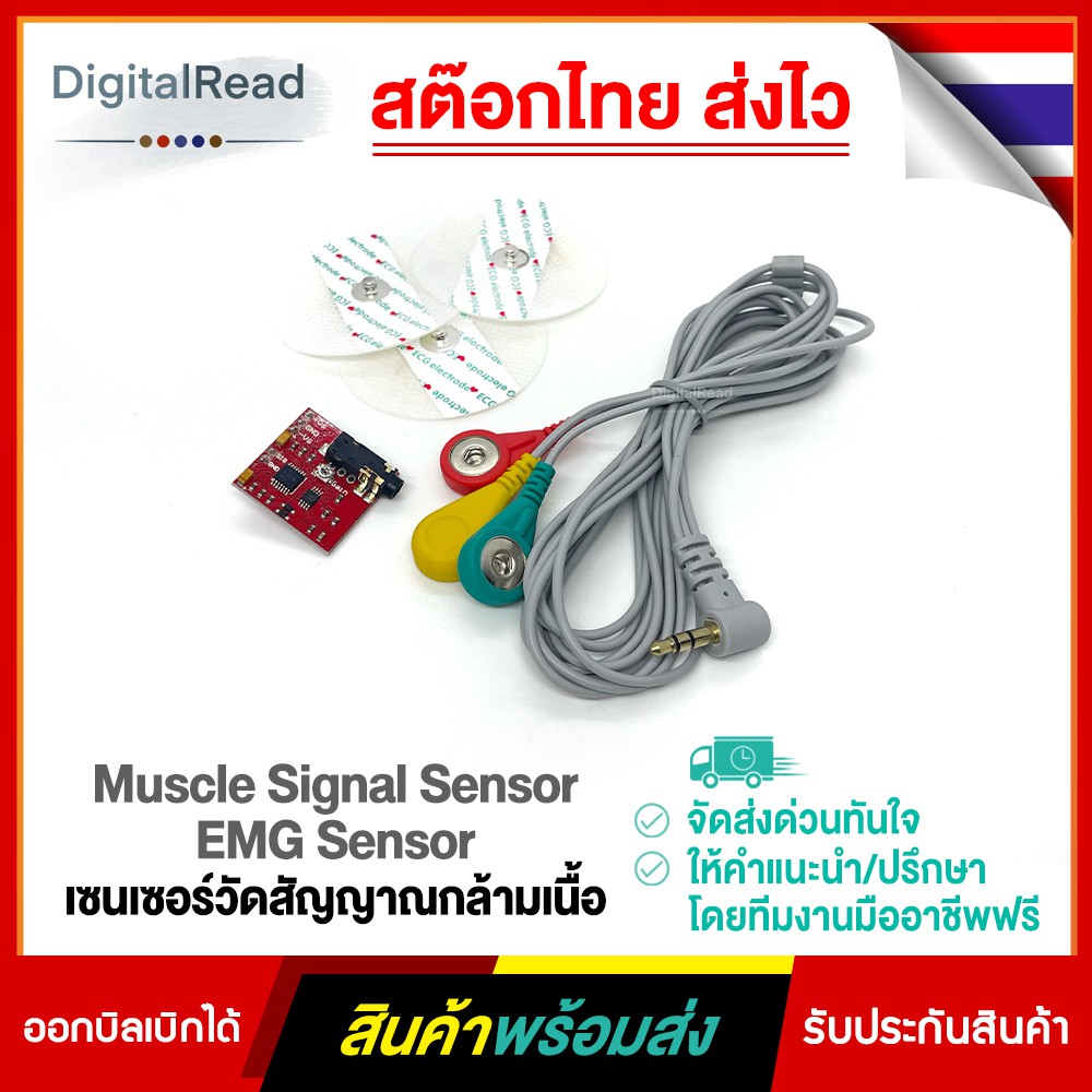 Muscle Signal Sensor EMG Sensor เซนเซอร์วัดสัญญาณกล้ามเนื้อ สต็อกไทยส่ง ...