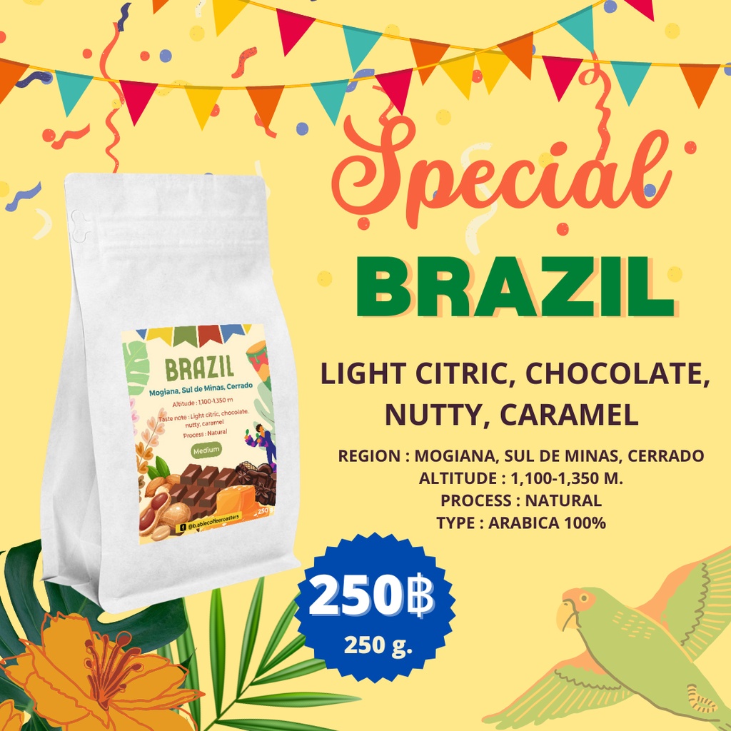 เมล็ดกาแฟคั่ว Brazil Cerrado NY2 1718 คั่วกลาง - bimchalita - ThaiPick