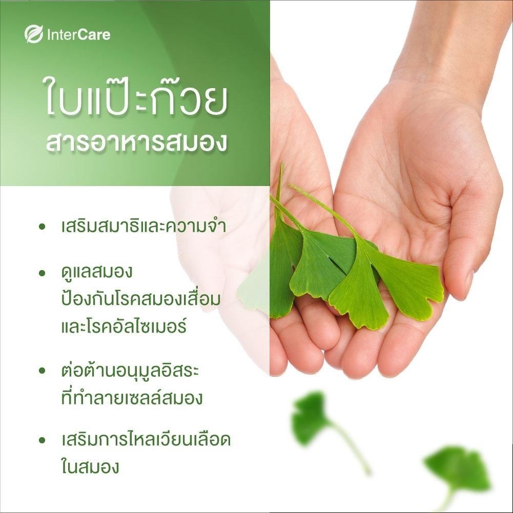 InterCare Active-b plus Ginkgo แอคทีฟ บี จิงโกะ พลัส อาหารเสริมบำรุงสมองเพิ่มความจำ สกัดจากใบแปะ ...
