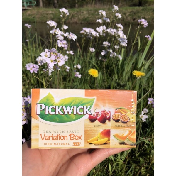 ชาผลไม้หลากรส ธรรมชาติแท้ 100 Pickwick Tea With Fruit Variation Box 100 ...