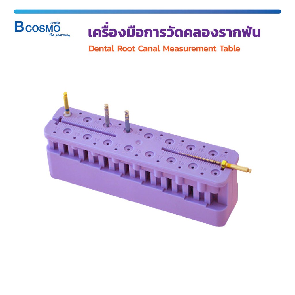 Dental Root Canal Measurement Table เครื่องมือการวัดคลองรากฟัน - bcosmo ...