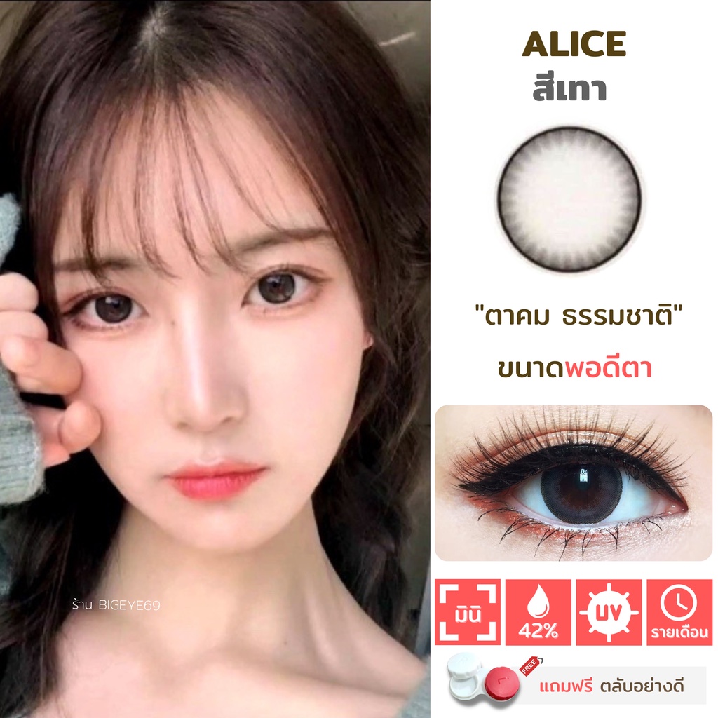 (mini) Alice Gray คอนแทคเลนส์ Wink - optixmoon - ThaiPick