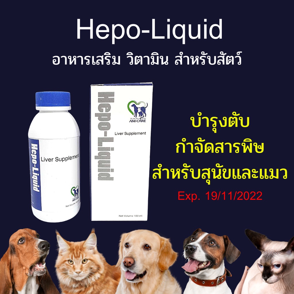 วิตามินบำรุงตับสุนัข ถูกที่สุด พร้อมโปรโมชั่น พ.ย. 2022|BigGoเช็คราคาง่ายๆ