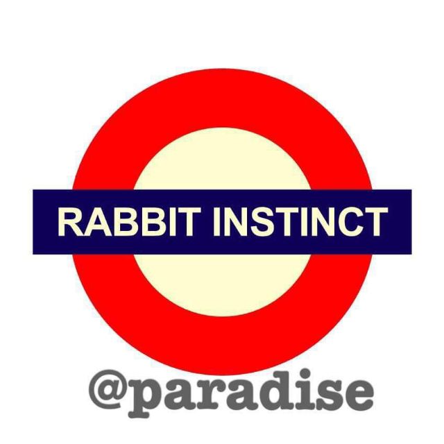 rabbit instinct, ร้านค้าออนไลน์ | Shopee Thailand