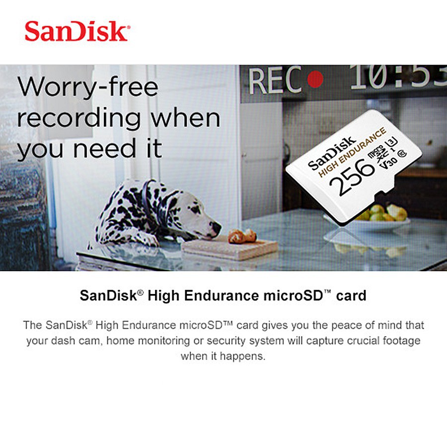 SanDisk 128GB High Endurance Video Monitoring Class 10 MicroSD ...