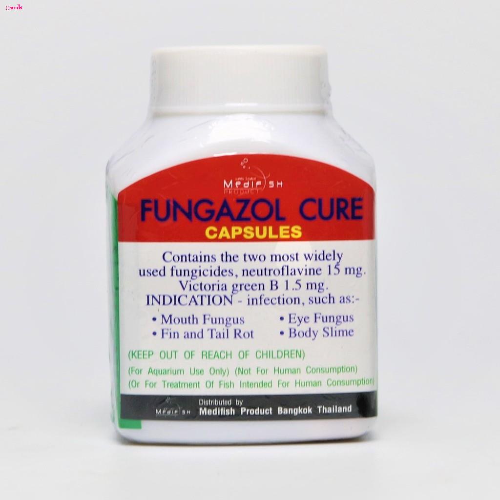 Fungazol ถูกที่สุด พร้อมโปรโมชั่น - มิ.ย 2022 | BigGo เช็คราคาง่ายๆ