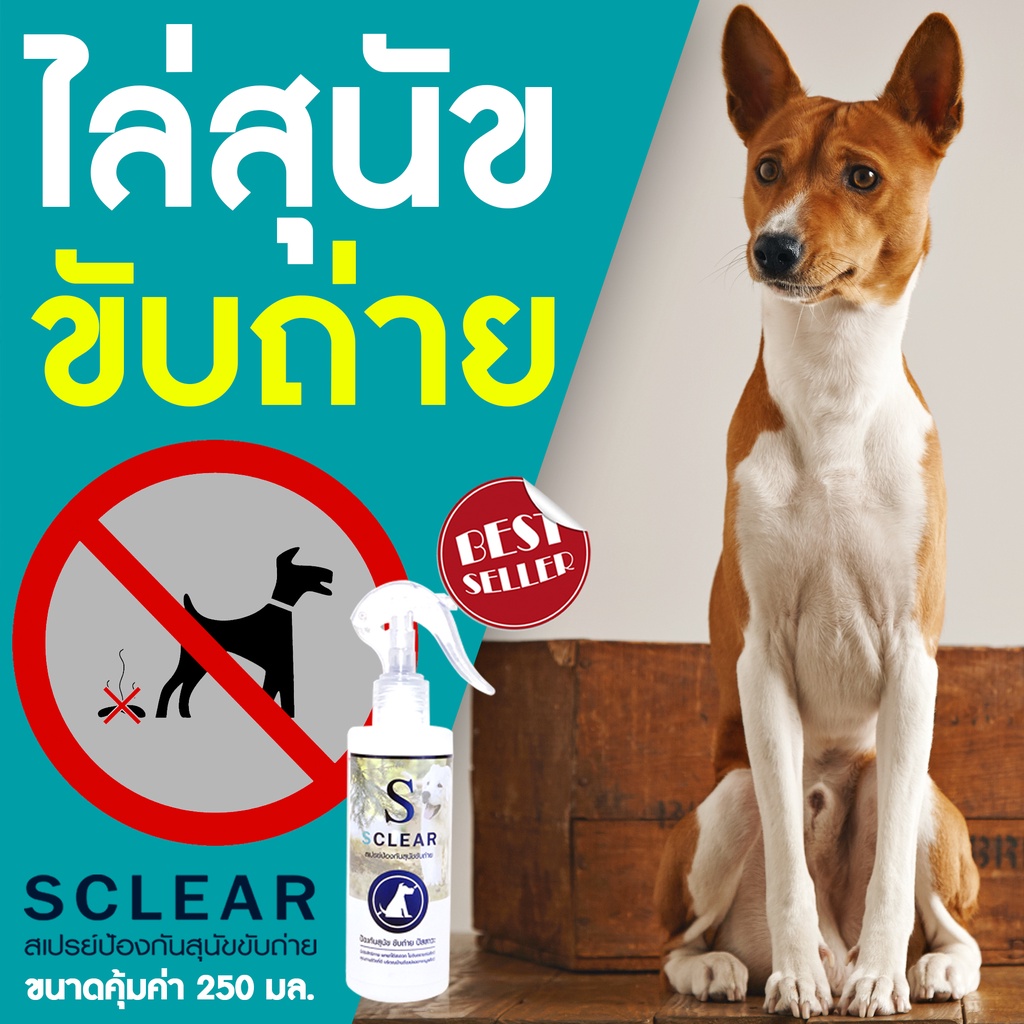 Sclear ถูกที่สุด พร้อมโปรโมชั่น ธ.ค. 2022|BigGoเช็คราคาง่ายๆ