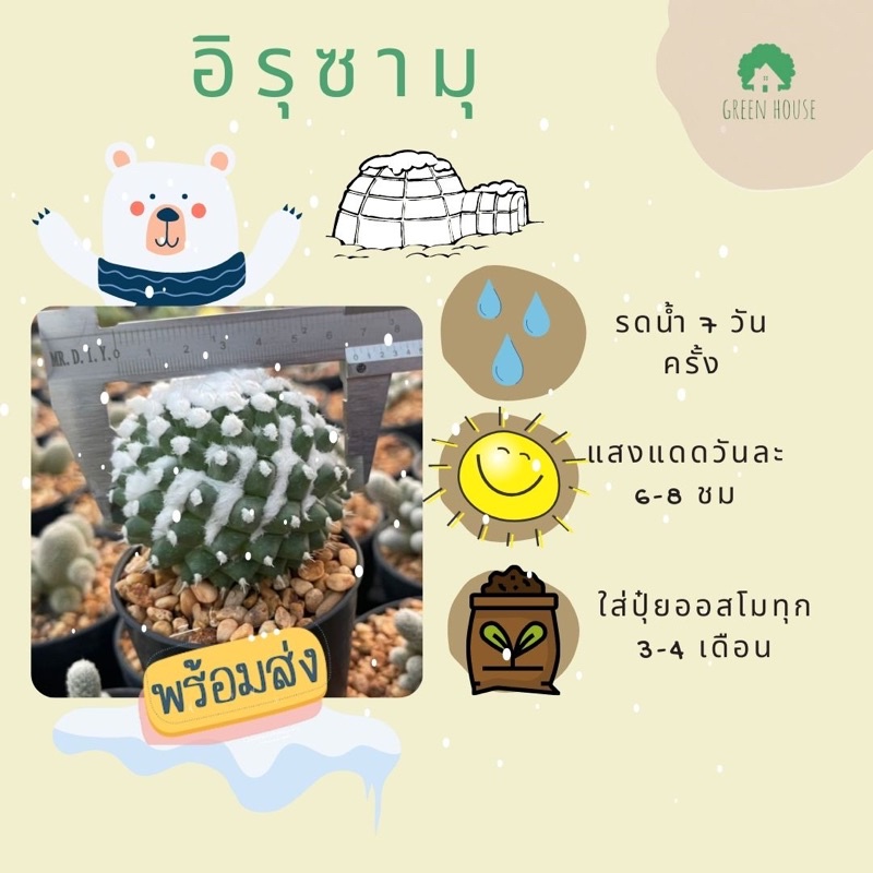 Grreen house, ร้านค้าออนไลน์ | Shopee Thailand
