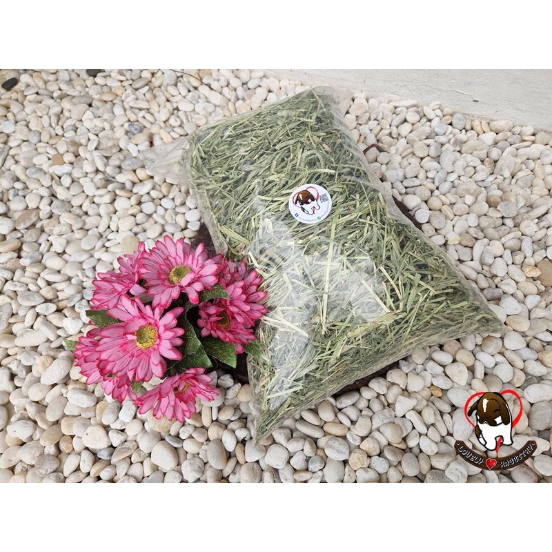 Timothy Super Premium plus 1 kg. หญ้าทิมโมธี ward Rugh ร่อนฝุ่น ...