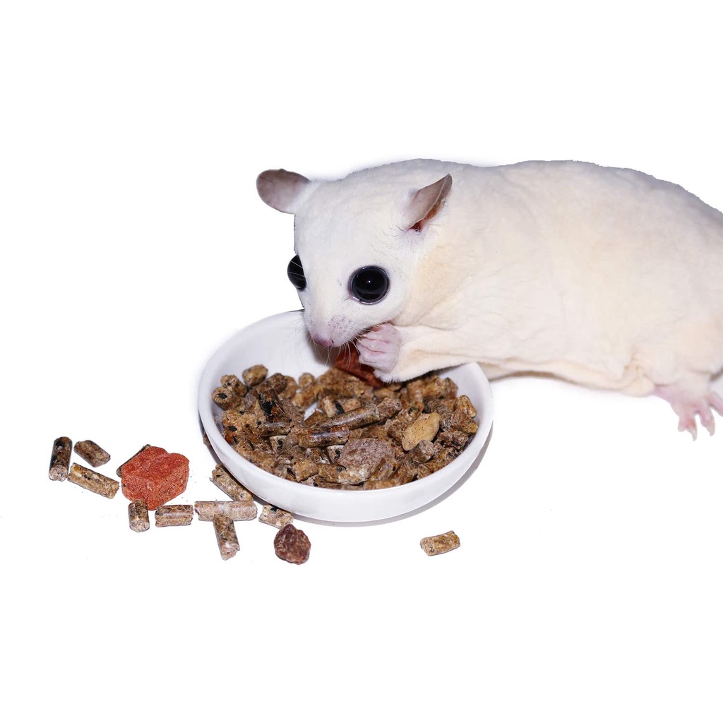 Exotic Nutrition - Sugar Glider Complete อาหารชูก้าไรเดอร์สูตรสมบูรณ์ 2LB. (907g.) EXP0723 ...