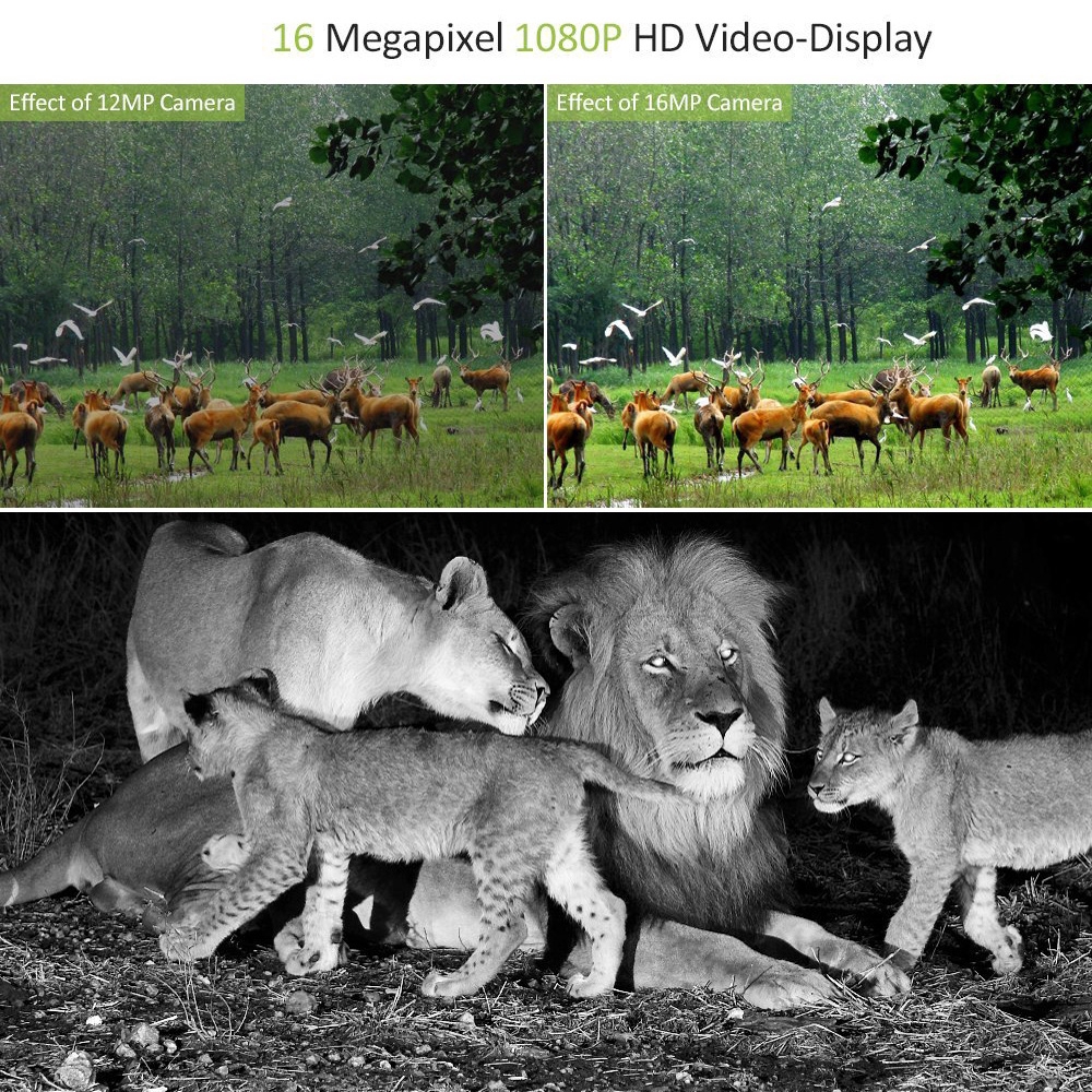 On sale Night Vision Hunting Camera 12mp 1080p Wildlife guard Infrared ...