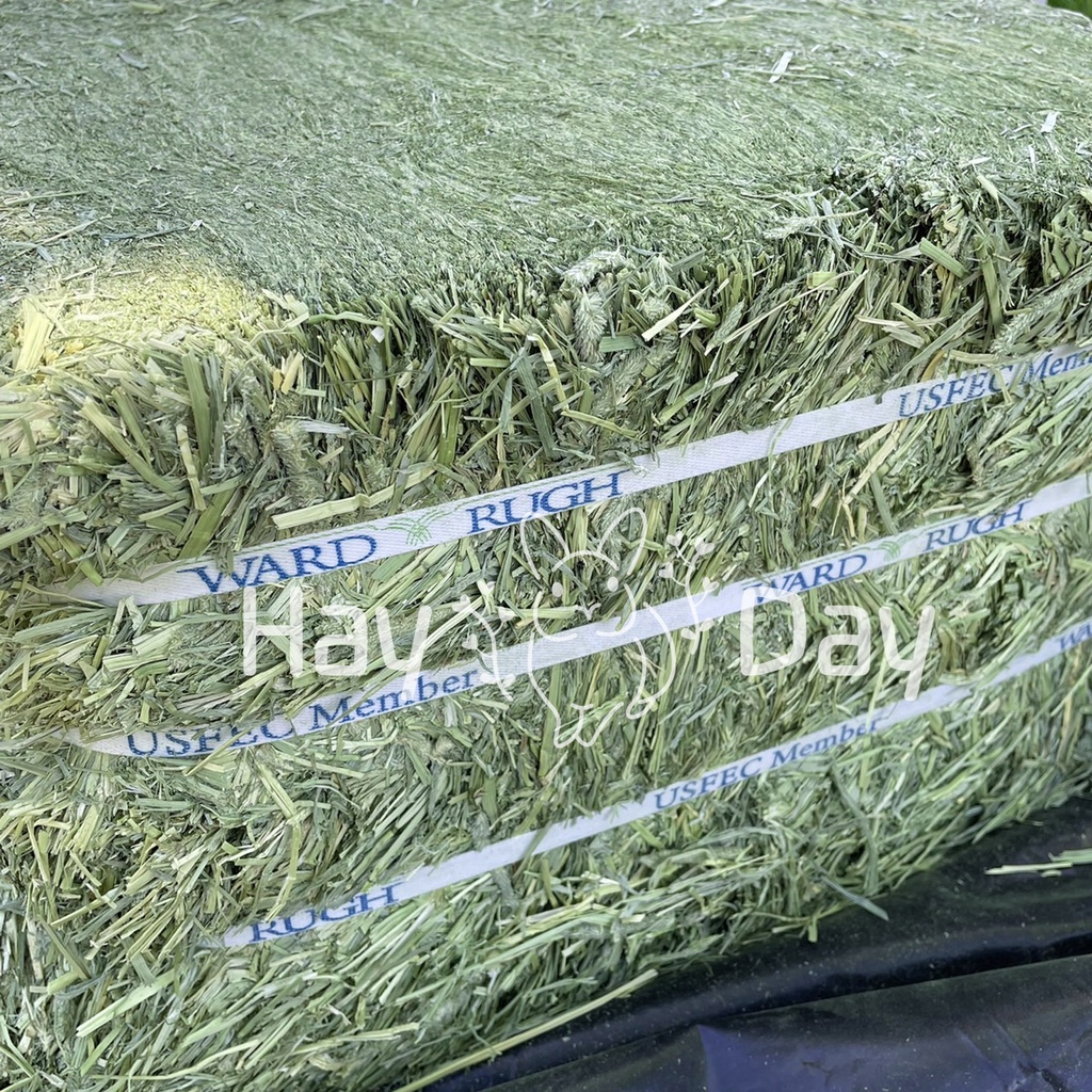 Lot.ใหม่Ward rughหญ้าแห้งทิมโมธี ซุปเปอร์พรีเมียม ร่อนฝุ่น สำหรับ ...