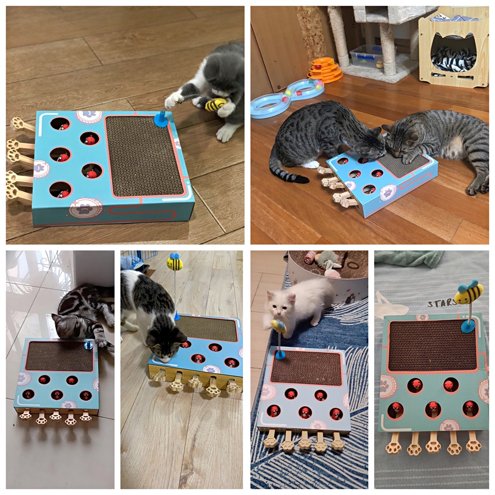 2021NEW Cat Toy Chase Hunt Mouse Cat Game Box 3 in 1 with Scratcher ...