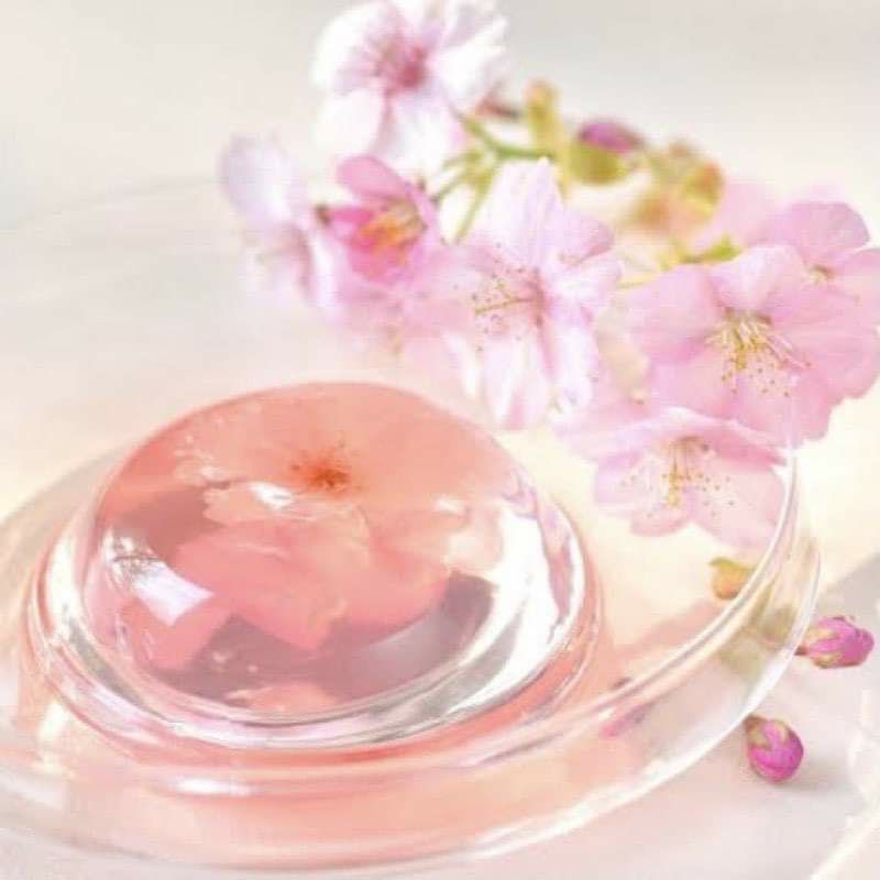 ผงวุ้นญี่ปุ่น Cool Agar ผงวุ้น Agar Agar Powder สำหรับทำ โมจิหยดน้ำ ...