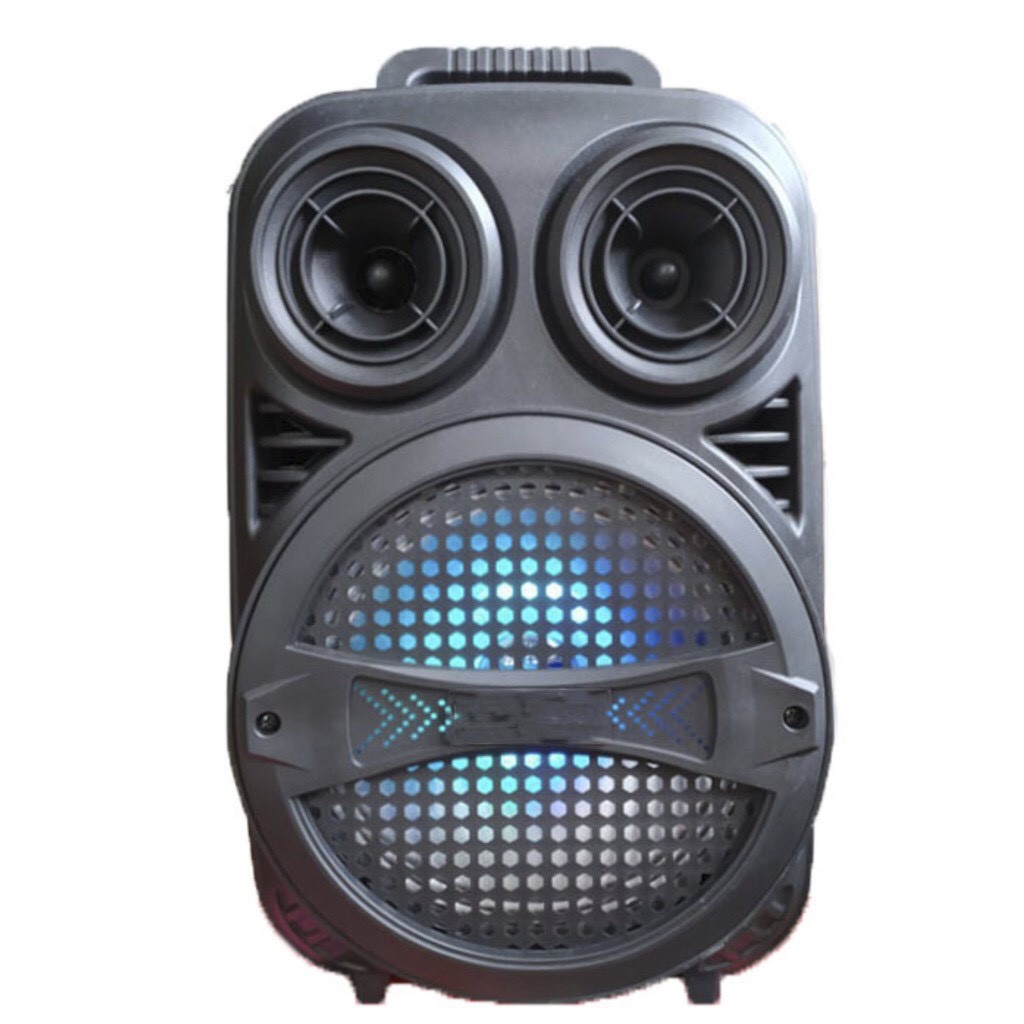 SP-8001 ลำโพงบลูทูธช่วยสอน ขนาด 8 นิ้ว มีหูหิ้ว รีโมทพร้อมไมค์โครโฟน และสามารถปรับ Echo ได้ ...