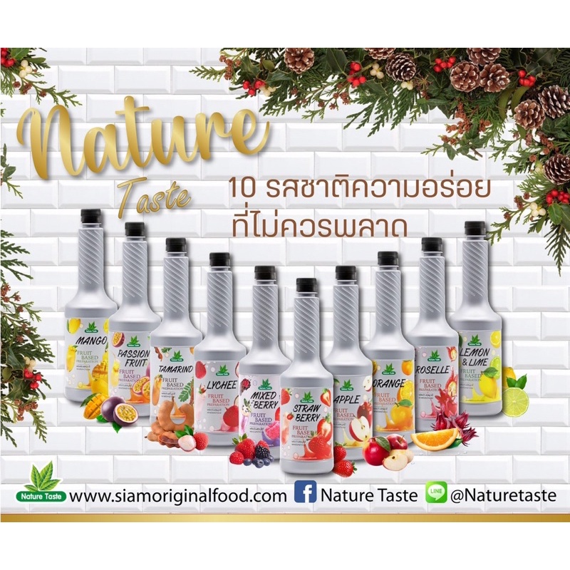 Nature Taste น้ำผลไม้เข้มข้นฟรุตเบสพรีเพอเรชั่น เพียวเร่ 13 รสชาติ ตรา ...