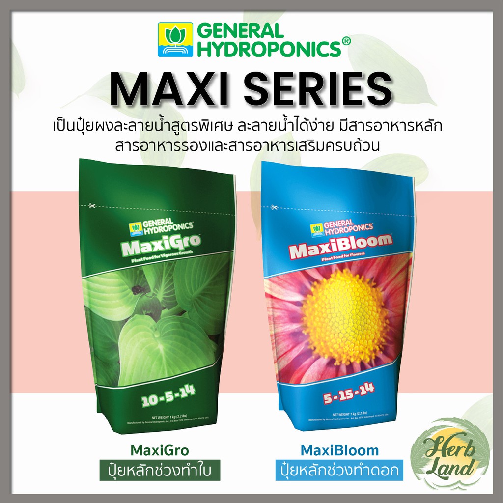 General Hydroponic - Maxi Series (MaxiGro, MaxiBloom) ปุ๋ยผงสำหรับช่วง ...