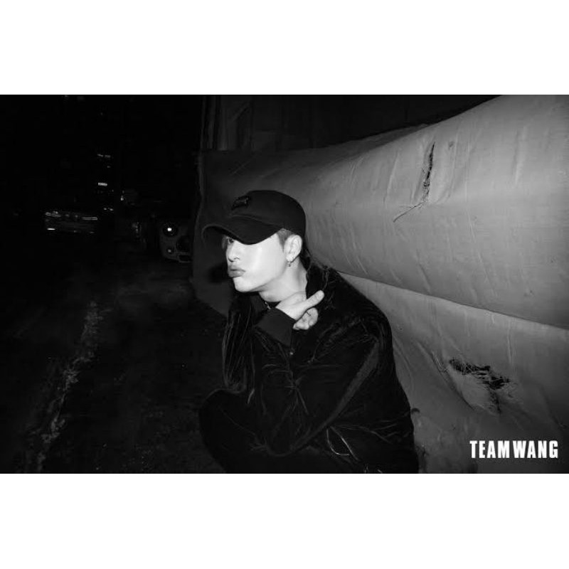 [ พร้อมส่ง ] TEAM WANG THEVELVET COLLECTION ของแท้???? - ahgase_fan - ThaiPick