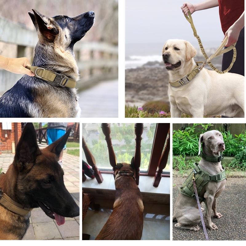 Dog Collar Adjustable Military Tactical Pets Dog Collars Leash Control ...