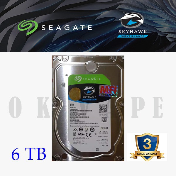 Seagate Skyhawk Harddisk 6 TB 35 MFI HDD CCTV Medusa 6TB Hard Disk - ntfpnqc2lb - ThaiPick