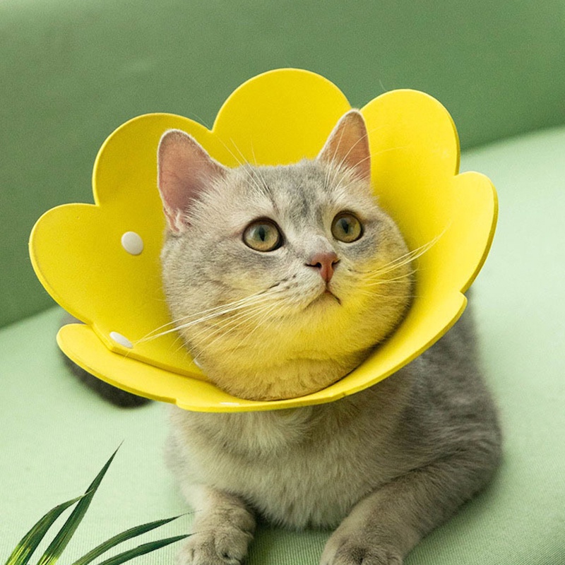 Flower Shaped Cat Recovery Collar Elizabethan Collar Wound Healing ...