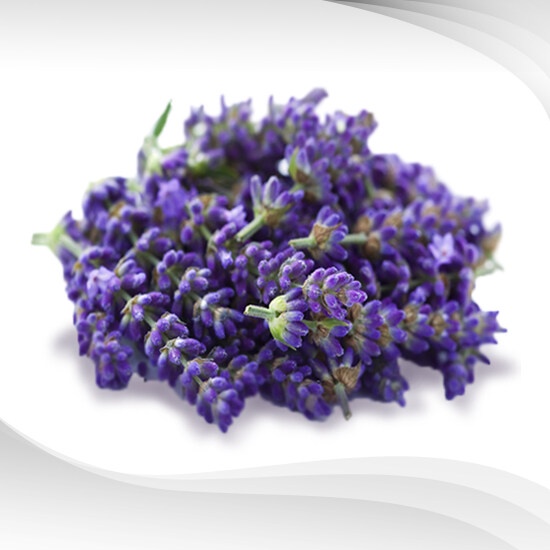 เทียนหอม Soy Wax กลิ่น Aromatica Lavender 300g / 10.14 oz Double wicks ...