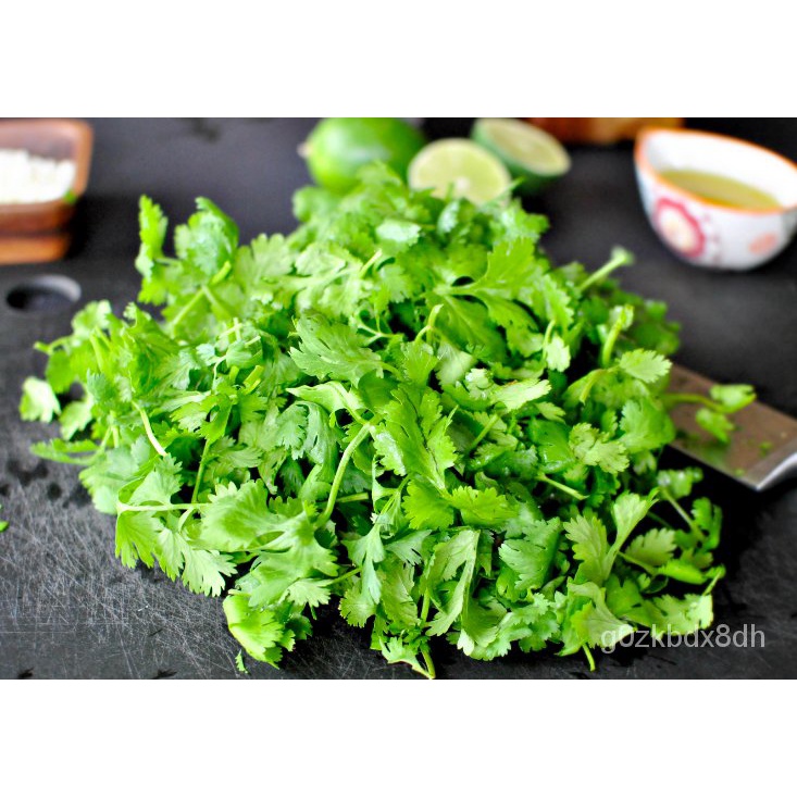 จุดประเทศไทย Coriander Cilantro Wansoy 3grams 200-230pcs seeds Herb ...