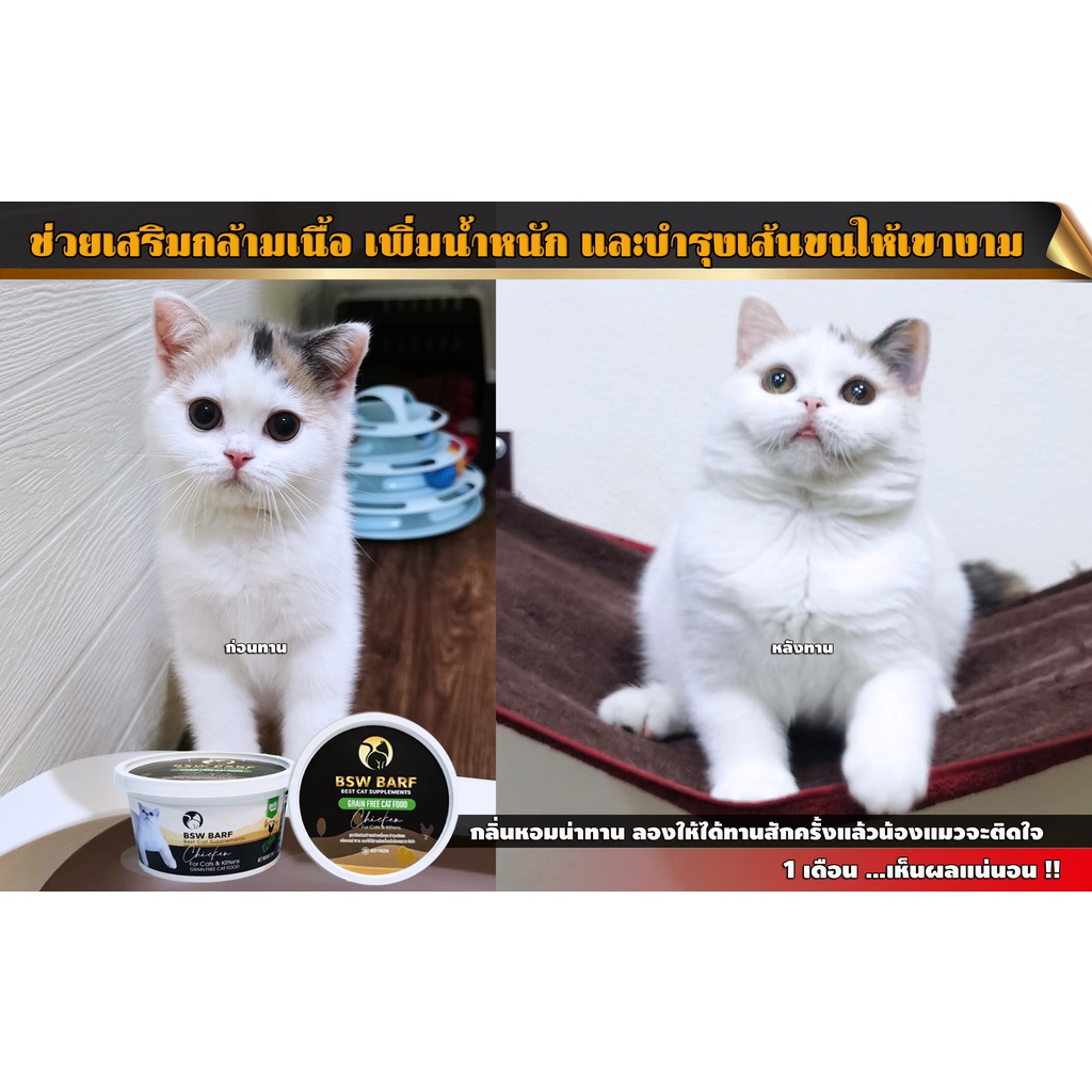 BSW BARF บาร์ฟแมวสูตรเพิ่มน้ำหนักและบำรุงเส้นขน (SET ทดลอง ขนาด 200g x 5ถุง ลดค่าส่ง 50) - bsw ...