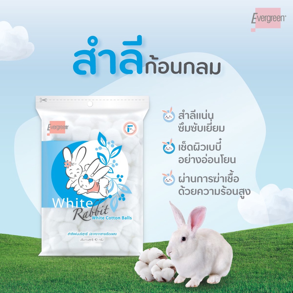 สำลีก้อนกลมกระต่าย 40 กรัม Cotton Ball White Rabbit 40 g - evergreen ...