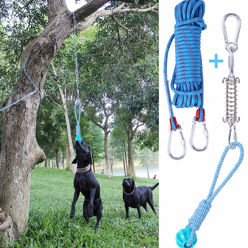 Pet Dog Toys Stainless Steel Dog Spring Pole Toys Tug of War Teething ...