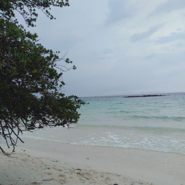 sujaree_nujanny, ร้านค้าออนไลน์ | Shopee Thailand