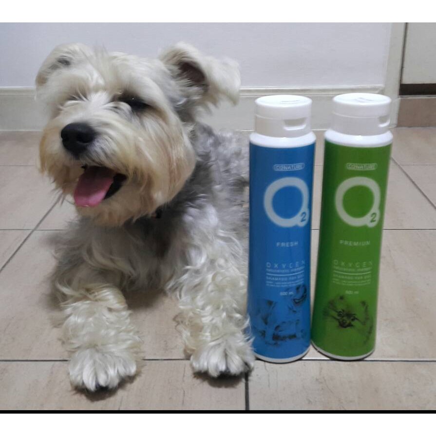 โปรแรงสุด O2 Fresh Gallon อ่อนโยนแม้ผิวแพ้ง่าย ลดฮีสโตรก ให้ความเย็น ...