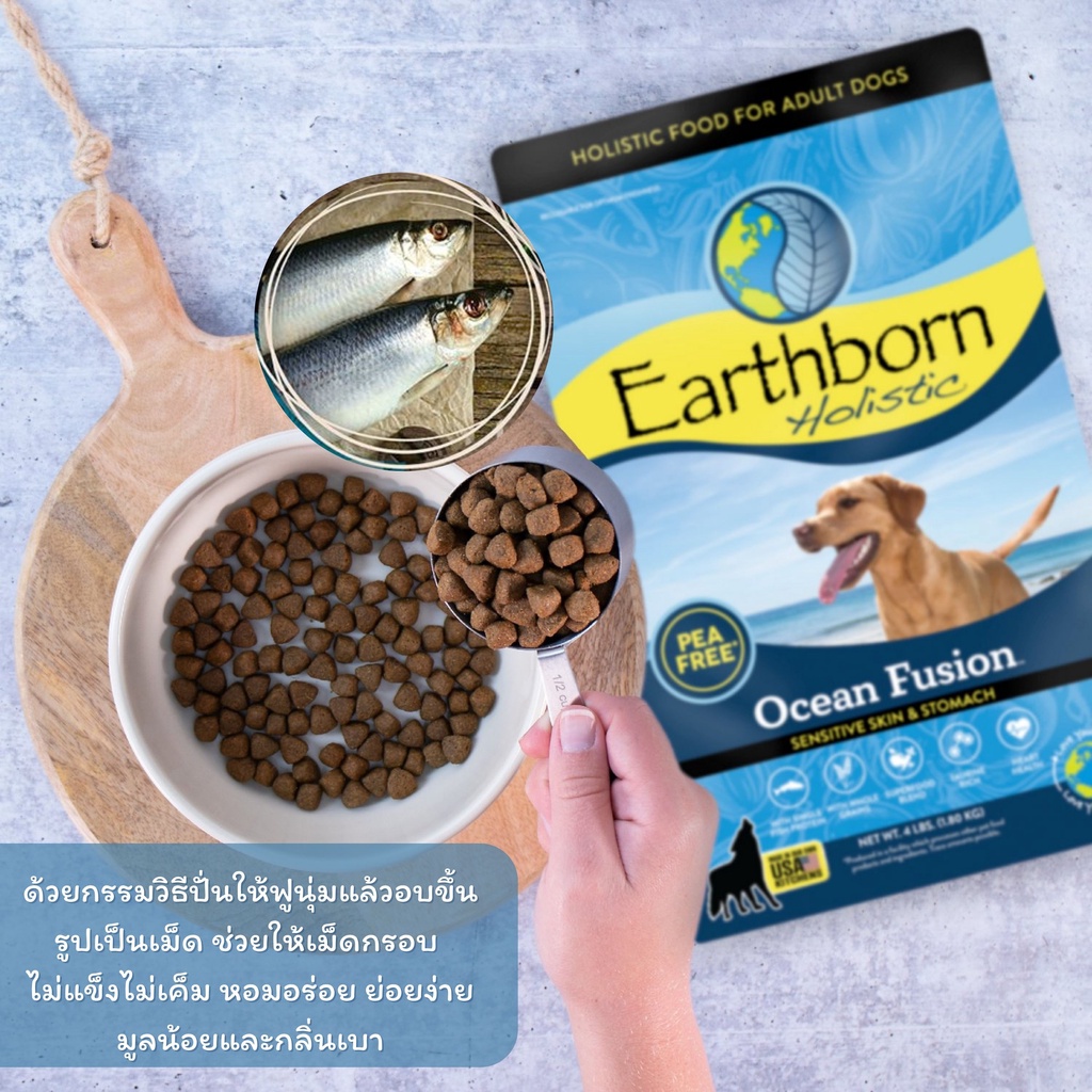 Ocean Fusion เอิร์ธบอร์นโฮลิสติก โอเชี่ยนฟิวชั่น(2.5kg) - earthborn ...