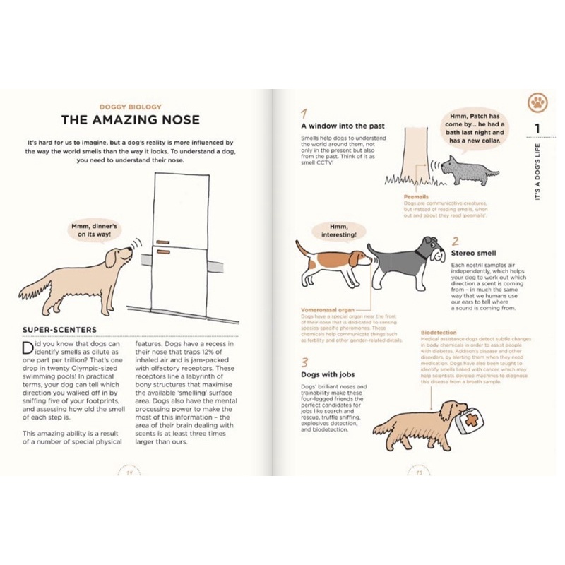 (พร้อมส่ง) หนังสือภาษาอังกฤษ What Dogs Want An illustrated guide for ...