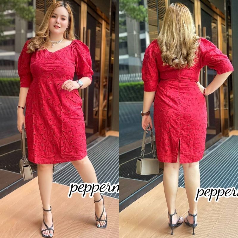 เดรสสาวอวบ ไซส์ 3XL-6XL เดรสผ้าปักฉลุ งานสวยเรียบหรู ซับในทั้งตัวนางแบบใส่งานจริง - beonyoupammy ...