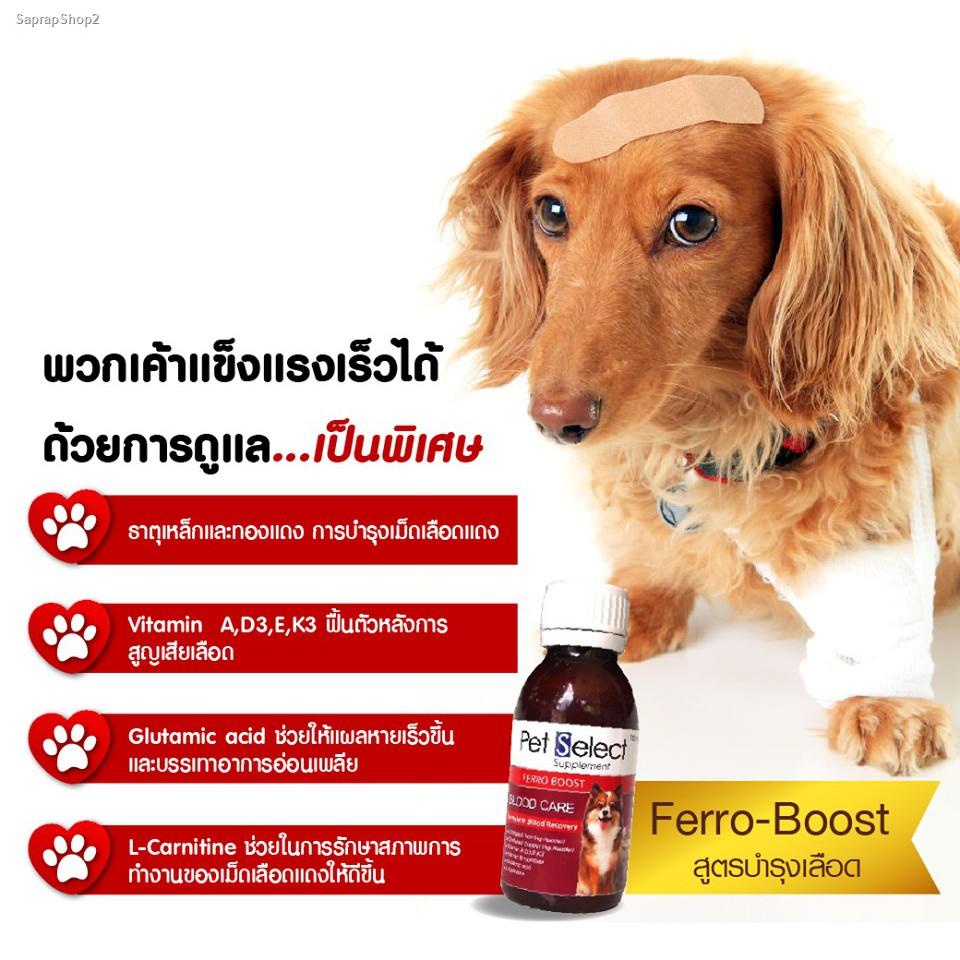 จุดประเทศไทยFerro-Boost 100 ml Pet Select วิตามิน อาหารเสริม บำรุงเลือด ...