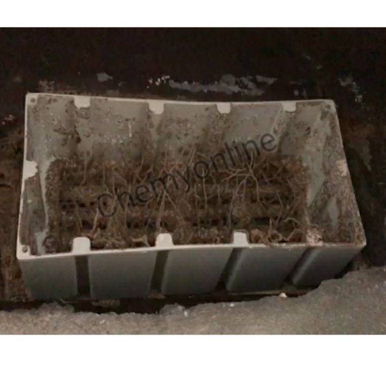 เหยื่อกำจัดปลวกTermatrix 100 กรัม 3ถุง Active plus 100 กรัม 3 ถุง อาหารปลวก กำจัดปลวก ...