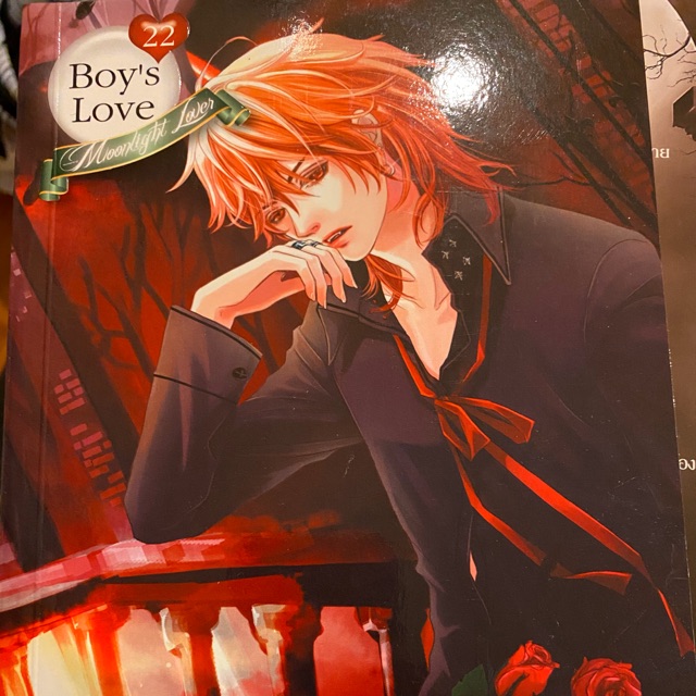 นิยายวายมือสอง เซ็ตซีรีส์ Moonlight lover 3 เล่ม | Shopee Thailand