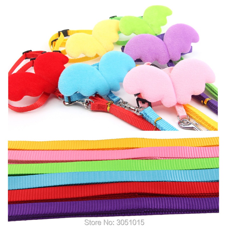20pcs Cute Angel Pet Dog Leashes and Collars Set Puppy Leads for Small ...