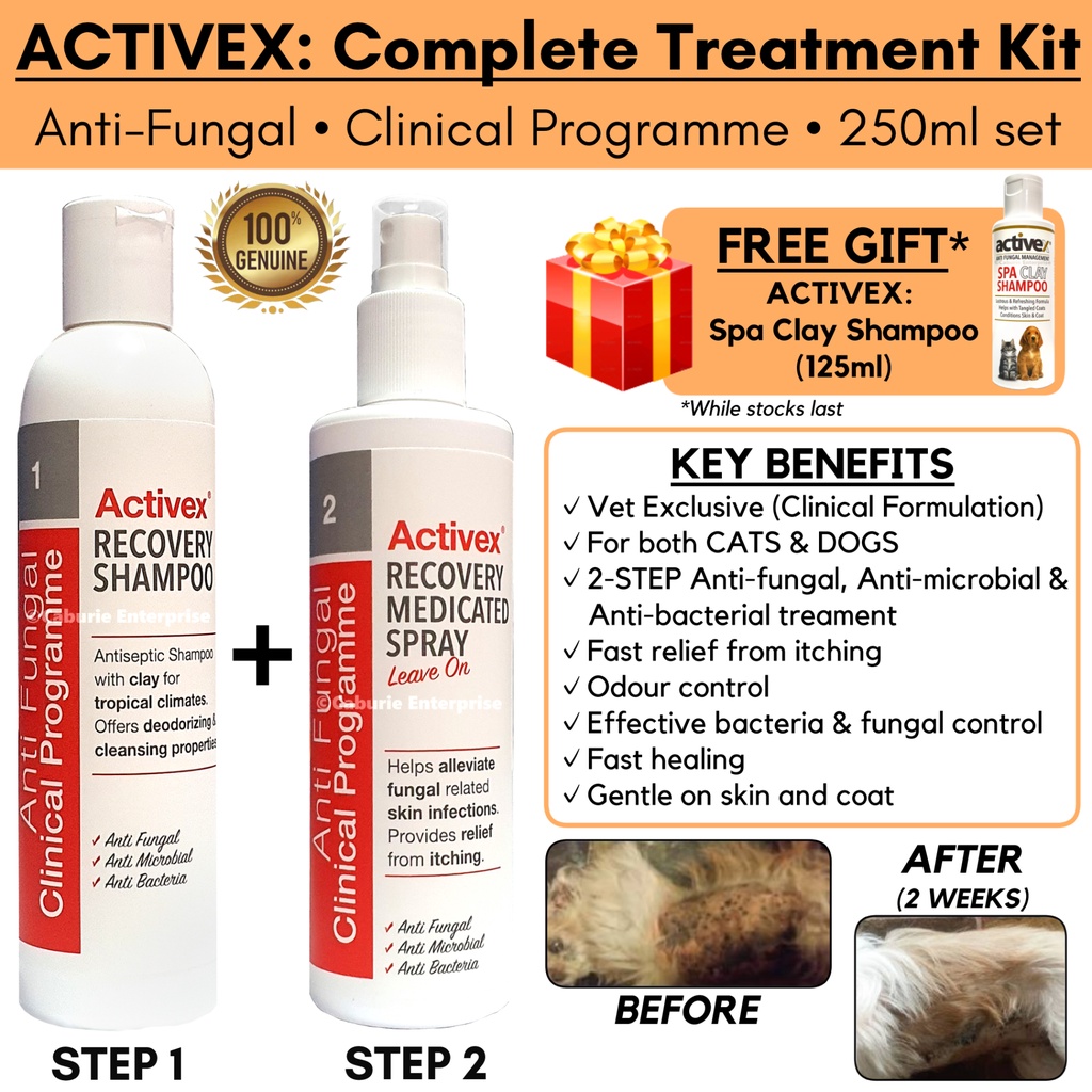 (FREE GIFT) ACTIVEX: Complete Anti-Fungal Treatment Set (250ml) [Recovery Shampoo + Medicated ...