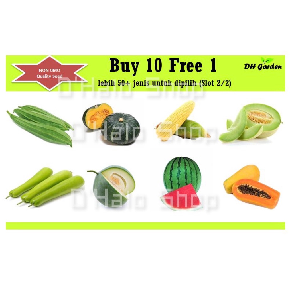 【Ready Stock】 50＋ Jenis Vegetables Seed Biji Benih Sayur-sayuran เมล็ด ...