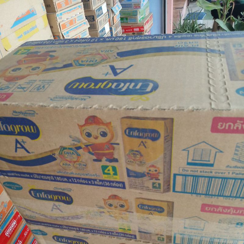 Enfa grow Uht 180ml สูตร 3 และสูตร4 ขายยกลัง 36กล่องรสจืด - sao2557 ...