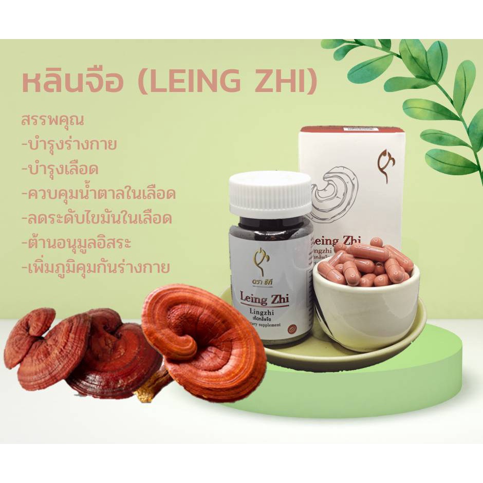 ลินคิเซ็น (Leing Zhi) เห็ดหลินจือ (เห็ด)(เห็ด) การทำงานของระบบภูมิคุ้ม ...